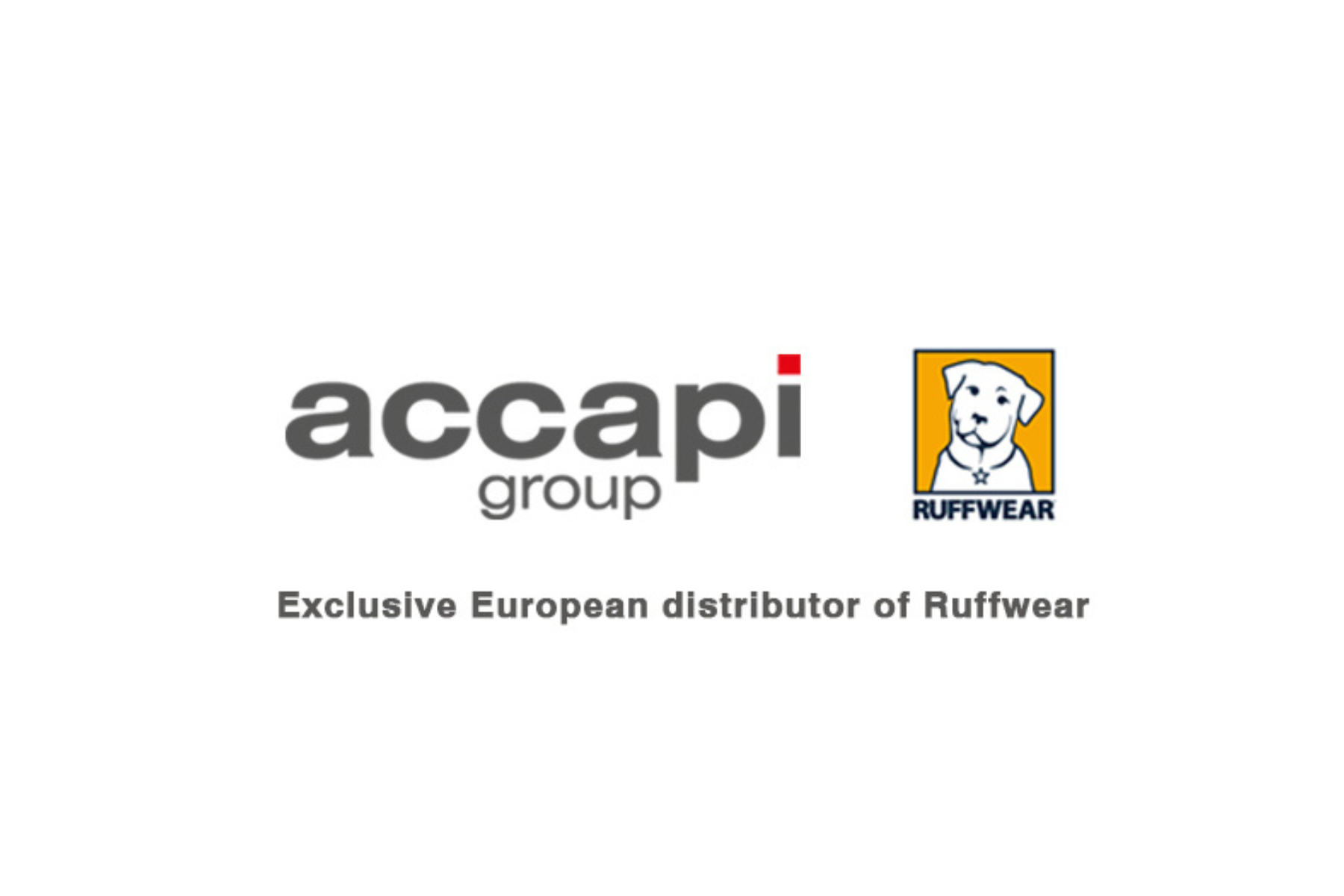 Corporate Partner - Great North Air Ambulance Service