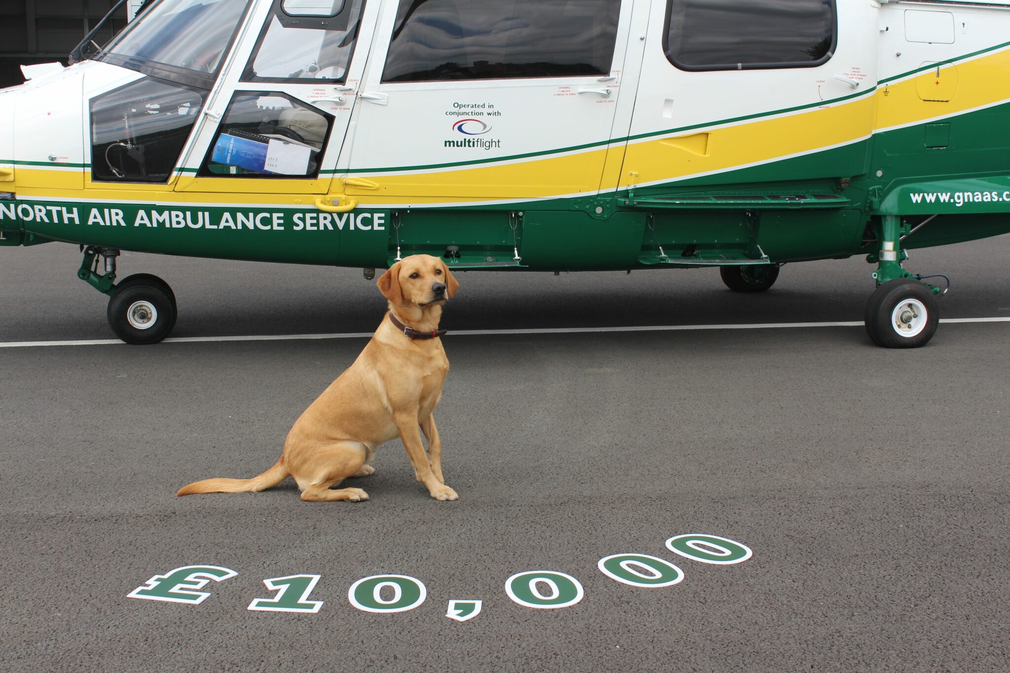 Great North Air Ambulance Service | Charity funded, world-class ...