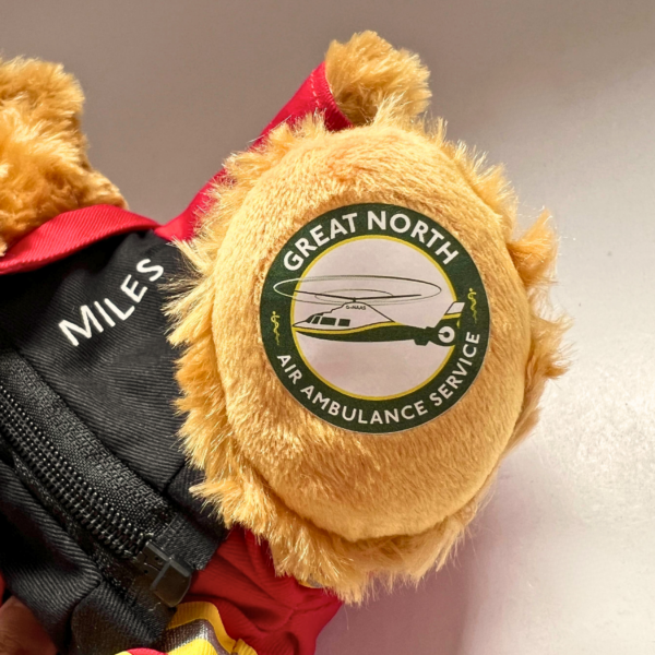 Miles the Bear - Great North Air Ambulance Service